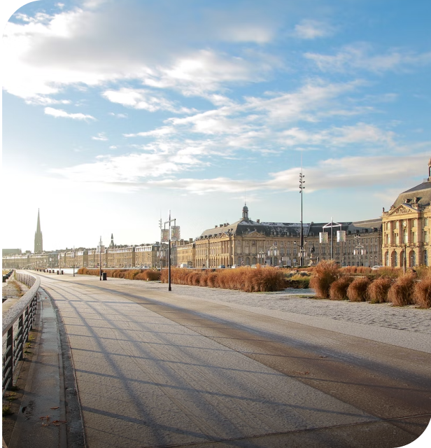 MSc Manager des Institutions et des Affaires Publiques - HEIP